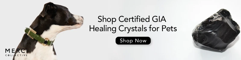 Crystal Infused Collar & Harnesses for My Dogs & Cats