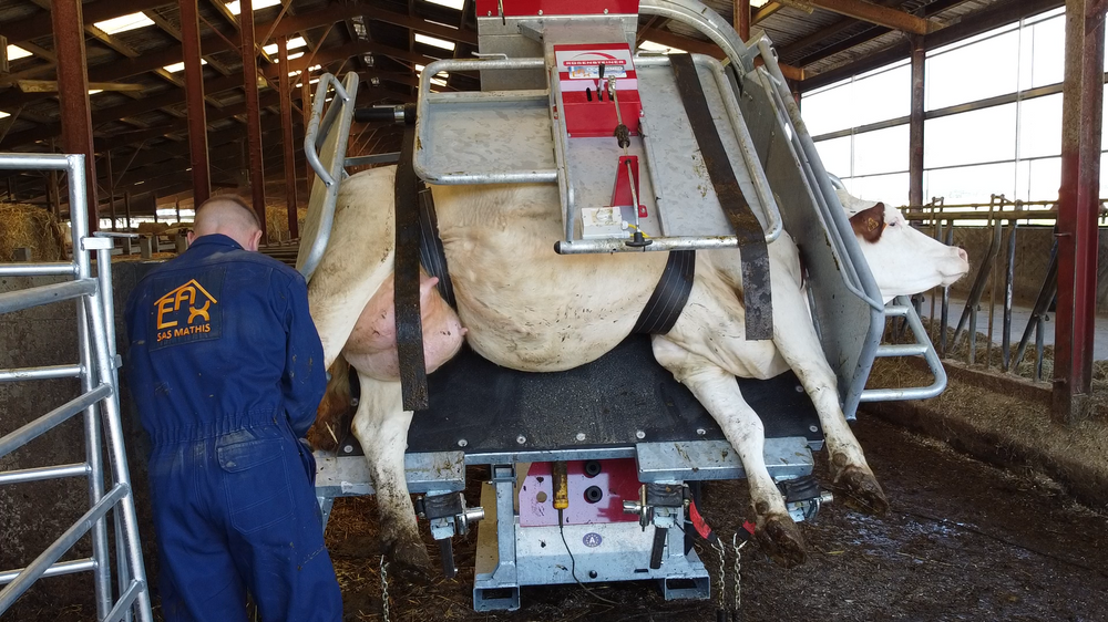 Démonstration de la cage de parage basculante Kipp Top II de Rosensteiner