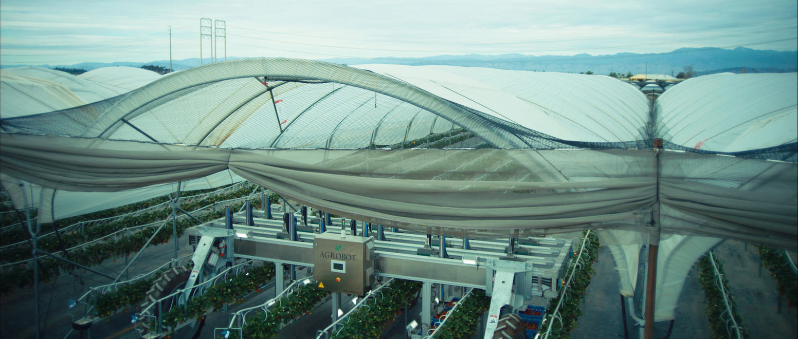 Robotic Harvesters | Agrobot