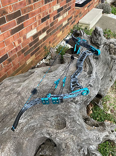 Gnat | GSTRING BOWSTRINGS