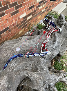 Gnat | GSTRING BOWSTRINGS