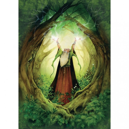 Earth Wizard | Enchanted Chamber