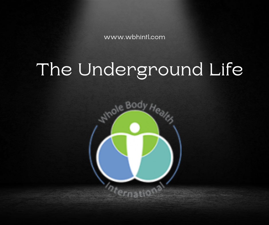 The Underground Life