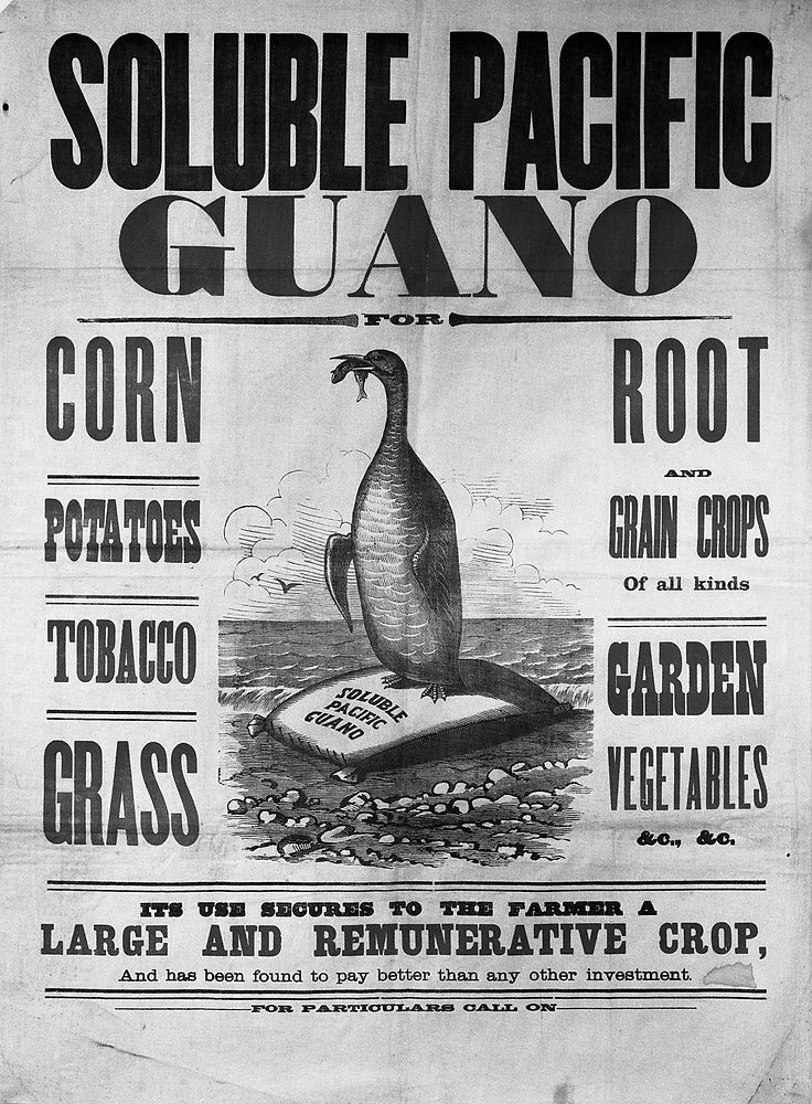 The Guano Trade