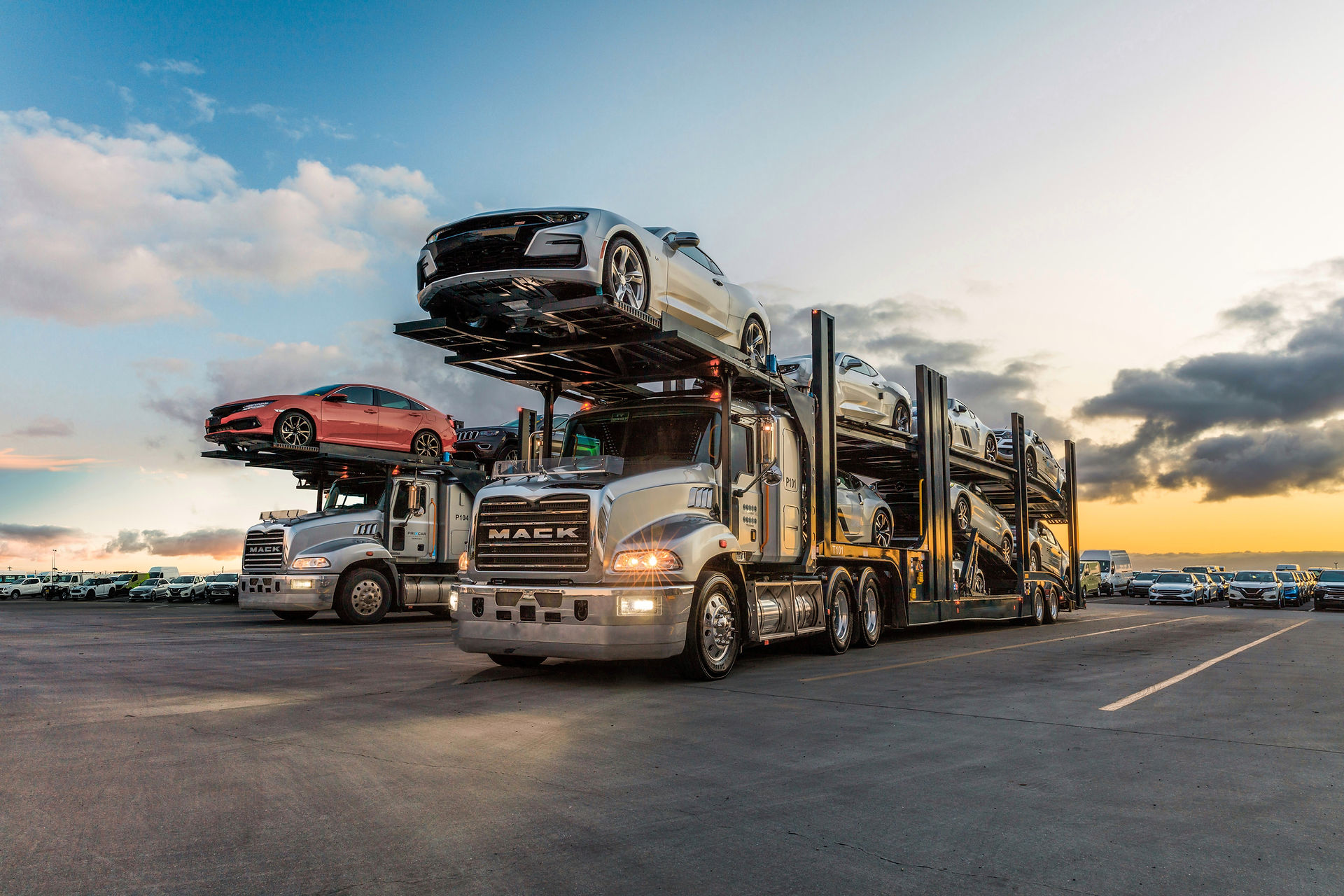 About Us | Colibri Auto Transport