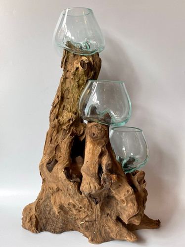 Triple Mini Glass Root Bowls | My Site