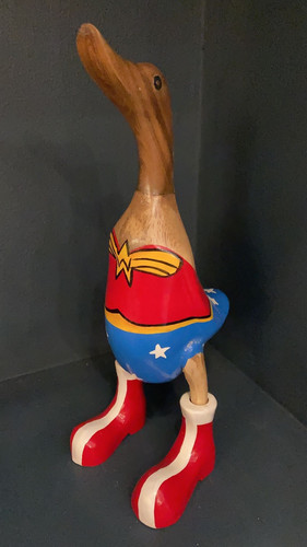 Wonder Woman Super Hero Duck | My Site