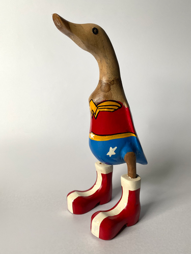Wonder-Duck Super Hero Duck | My Site