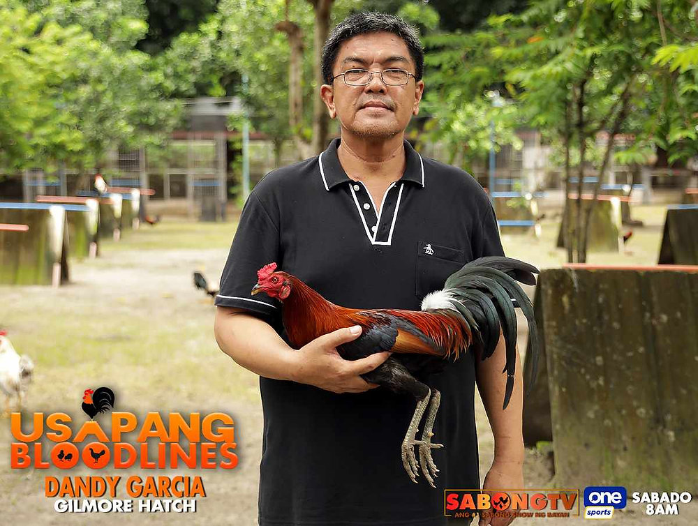 Doc Jun Cueto Magbabalik sa DG Gamefarm ni Dandy Garcia para Pag-usapan ang kanyang Pambatong ...