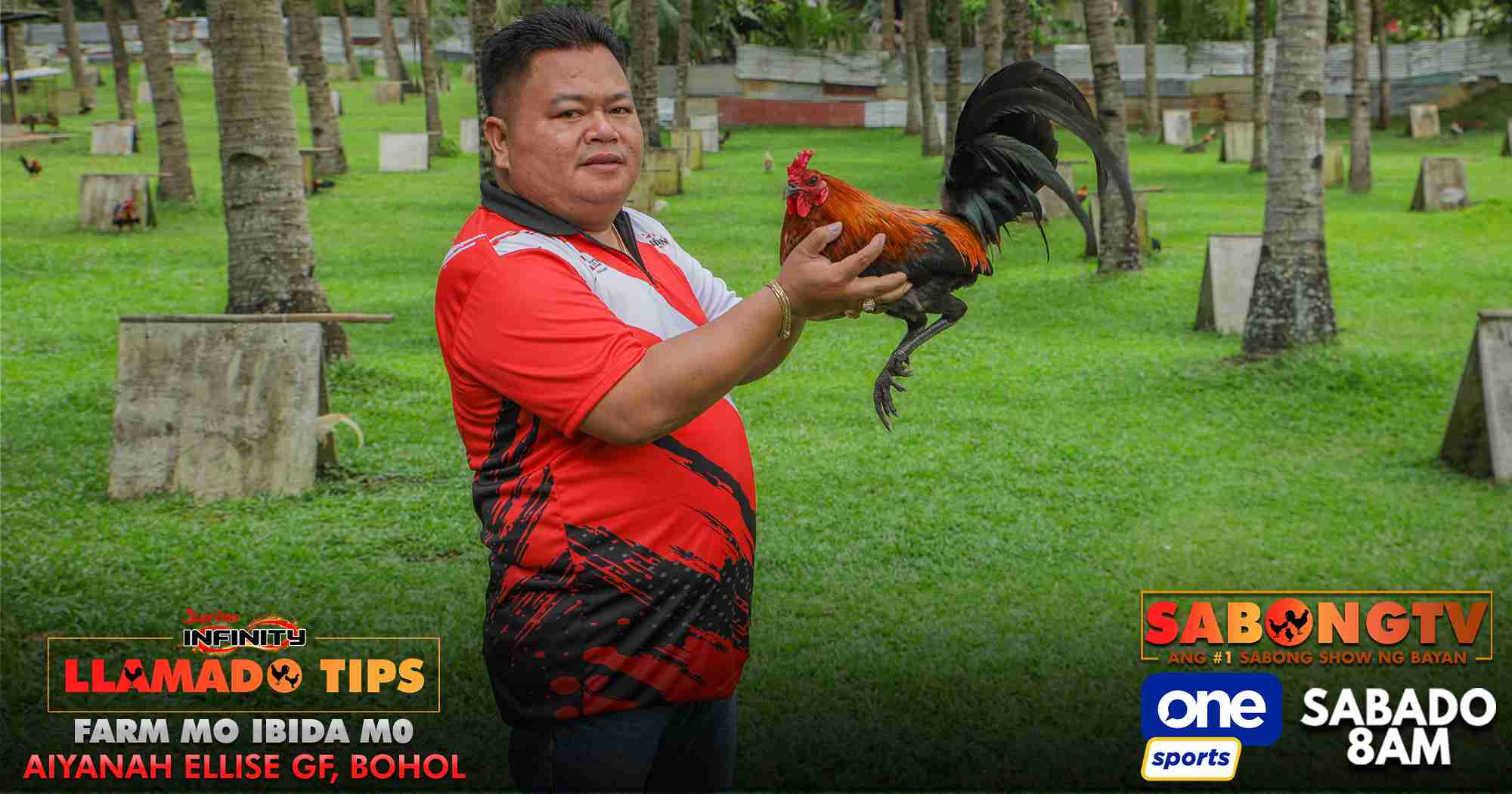 Pag-aalaga ng Sisiw sa Aiyanah Ellise Gamefarm tampok sa Supremo ...