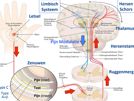 Blog | Fysiotherapie