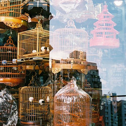 Kyra Campbell - "Cages" - Signed Limited Edition of 25 | HKARTS