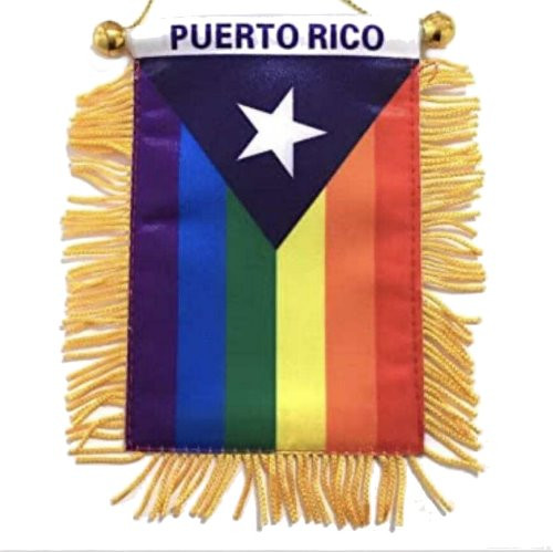 Puerto Rico Rainbow Flag Color Mini Banner 5" x 7" | PR Souvenirs