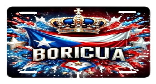 Puerto Rico Flag & Boricua License Plate | PR Souvenirs
