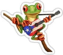 Coqui & Puerto Rico Flag Stickers | PR Souvenirs