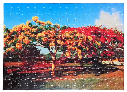 Puerto Rico Jigsaw Puzzle ( 120 PCS ) | PR Souvenirs