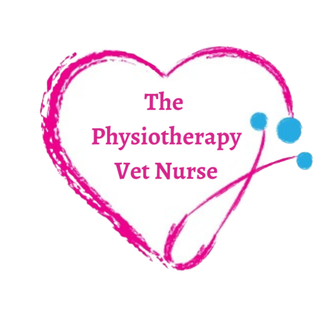 The Physiotherapy Vet Nurse | animal physiotherapy | Caterham, UK