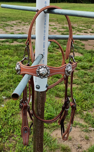 Mule Head Concho EZ ON | 2R Mules