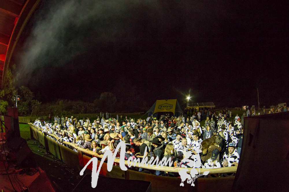 Monkerai Springers BnS Ball | Australia | Monkerai BnS Ball