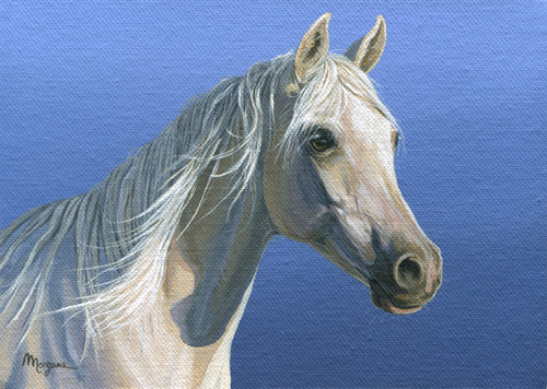 Sunset Horse A225 by artist Morgane Antoine | Lovetts Fine Art Gallery