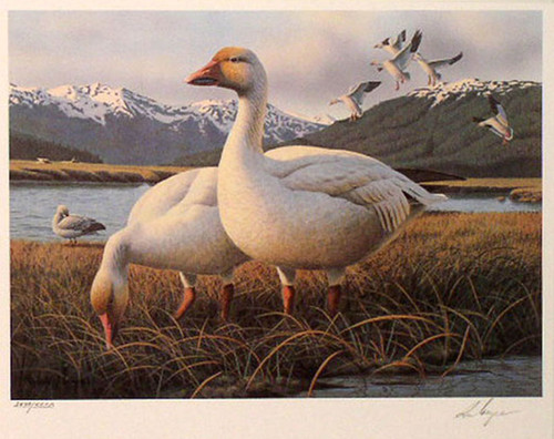 1991 Alaska Waterfowl Conservation Stamp Print by artist Ron Louque ...