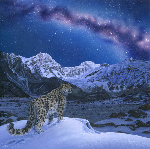 Wonders of Nature by artist Morgane Antoine | Lovetts Fine Art Gallery