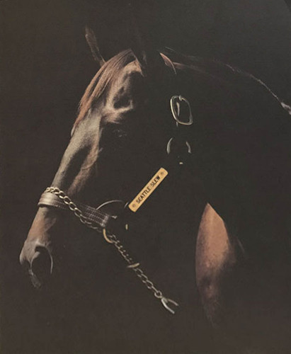 Seattle Slew by artist Doug Sauders | Lovetts Fine Art Gallery