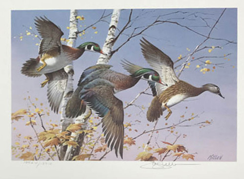 1986 Vermont Duck Stamp Print by artist Jim Killen | Lovetts Fine Art ...