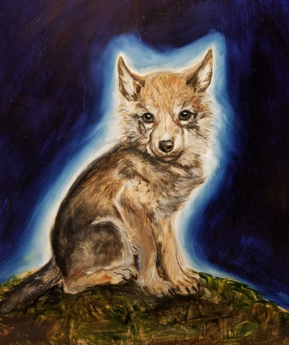 Zhur - Wolf Pup by artist Gwen Wong | Lovetts Fine Art Gallery