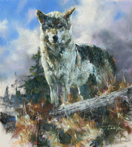 Grey Wolf - Anchorage by artist Terry Donahue | Lovetts Fine Art Gallery