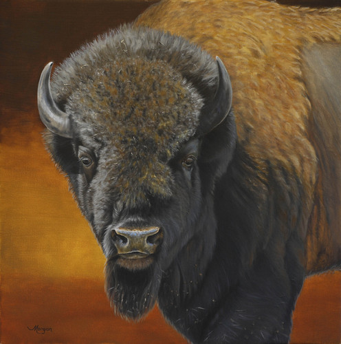 Caprock Canyon Bison by artist Brenda Morgan | Lovetts Fine Art Gallery