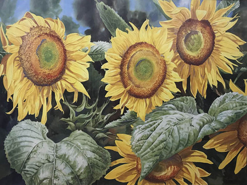 Sunflowers by artist Larry K. Stephenson | Lovetts Fine Art Gallery