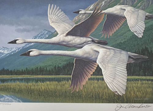 1988 Alaska Waterfowl Conservation Stamp Print by artist James Beaudoin ...