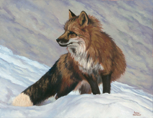Red Rogue by artist Susan Hackney | Lovetts Fine Art Gallery