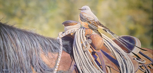 Saddle Up by artist Timothy Donovan | Lovetts Fine Art Gallery