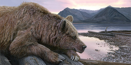 Lumber Slumber by artist Morgane Antoine | Lovetts Fine Art Gallery