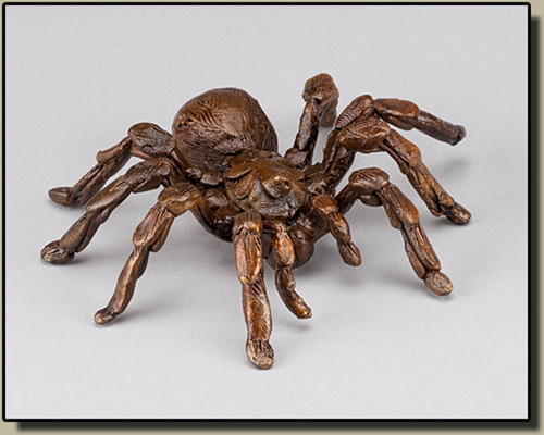 Tarantula by artist Paul Rhymer | Lovetts Fine Art Gallery