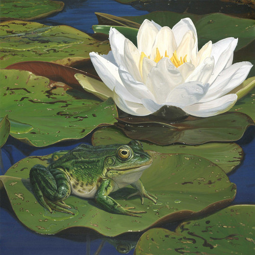 Pond Beauties by artist Morgane Antoine | Lovetts Fine Art Gallery