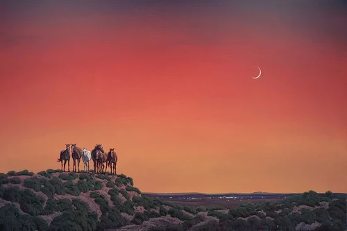 The Prophecy | DORIS ANDERSON ARTS