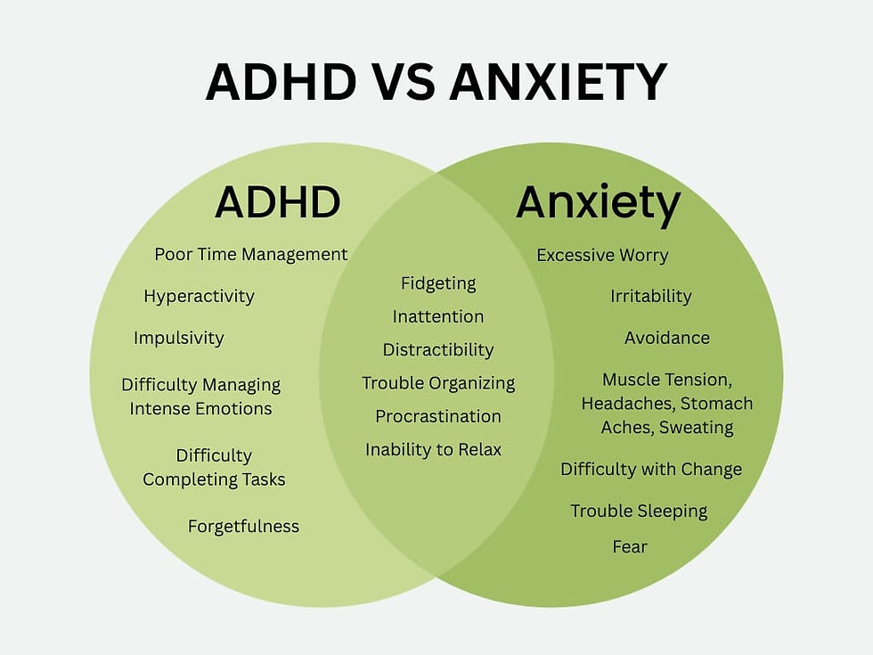 high end adhd