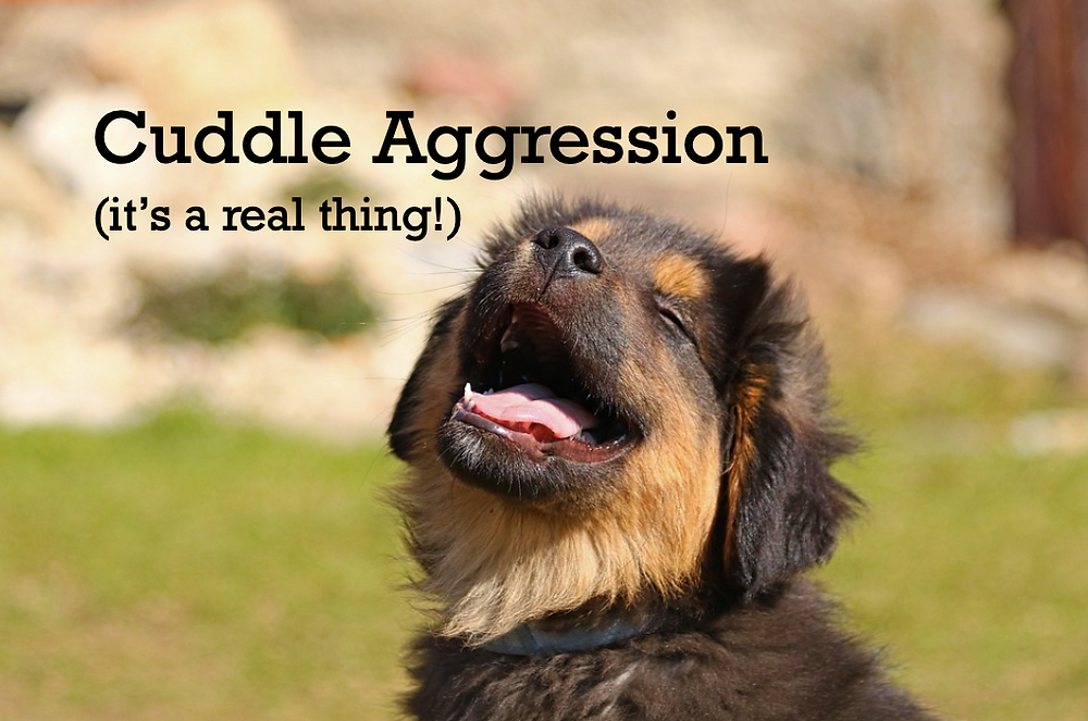 Cuddle Aggression