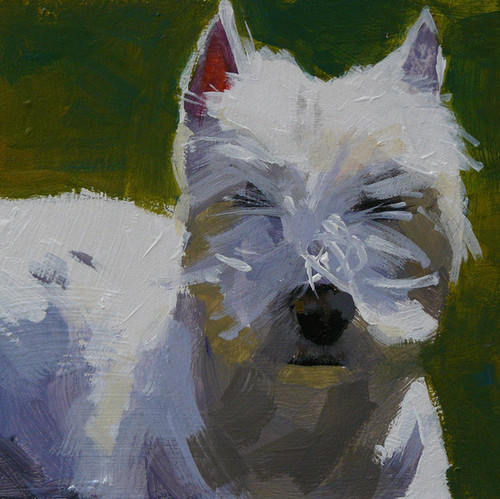 Charlie | Paul Talbot-Greaves