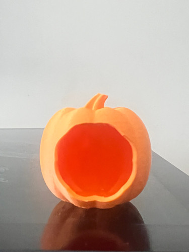 Arboreal Spider Pumpkin Hide - MM Invertebrates