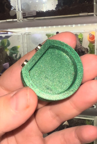 Circular Arboreal Feeding Ledge | MM Invertebrates