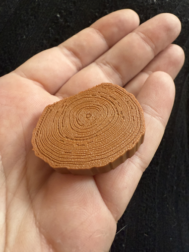 Wood Effect Arboreal Hopping Ledge | MM Invertebrates