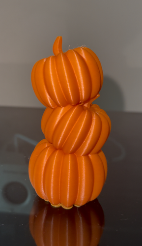 Pumpkin Stack Climber | MM Invertebrates