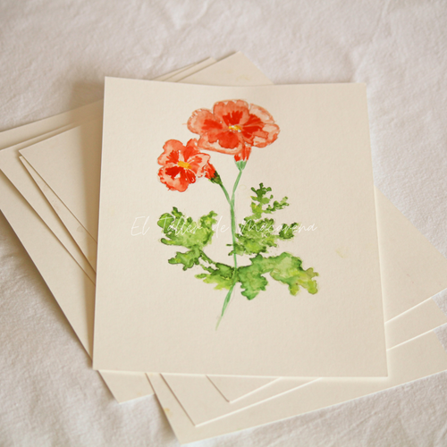 Lámina Colección Botánica - Clavel | ELTALLERDEMACARENA