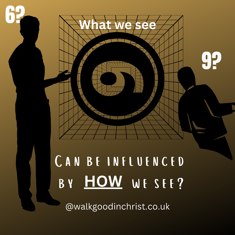 What do we see?