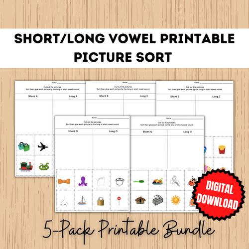 PRINTABLE SHORT/LONG VOWEL SORT BUNDLE | Teach4Purpose