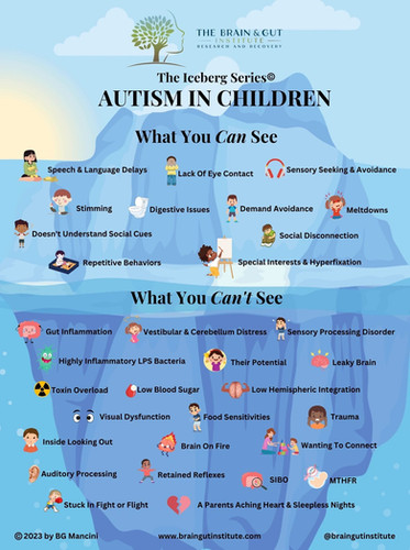 THE AUTISM ICEBERG EXPLAINED | Brain Gut Institute